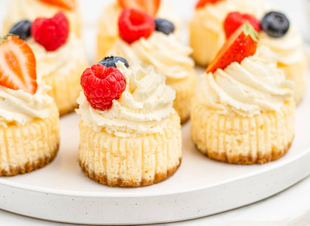 Mini Cheesecake Recipe