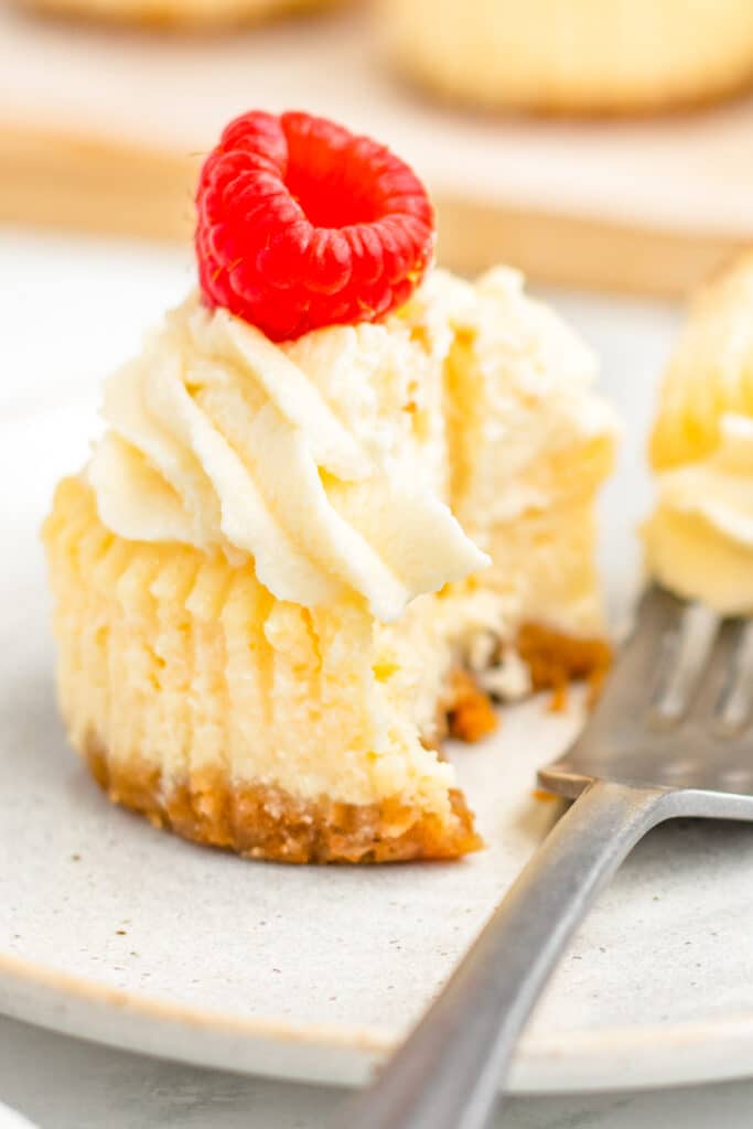 Mini Cheesecake Recipe